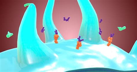 Premium Photo Platelet Activation And Aggregation Play An Important