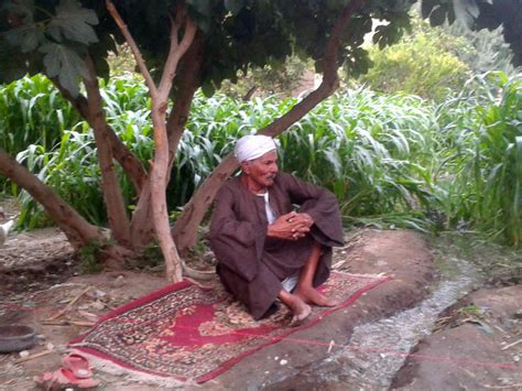 Under The Fig Tree By Gaiamethod On DeviantART