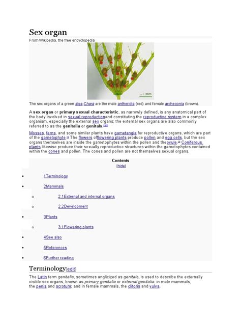 Sex Organ Terminology Pdf Sex Organ Clitoris Sex Organ Terminology Pdf Sex Organ Clitoris