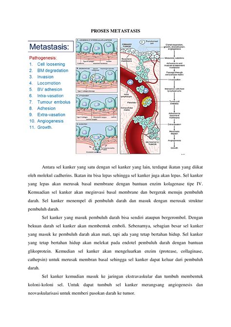 Docx Proses Metastasis Dokumen Tips