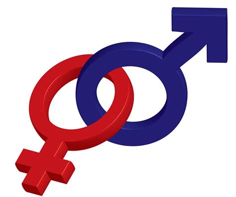 Males Female Symbol Clipart Best