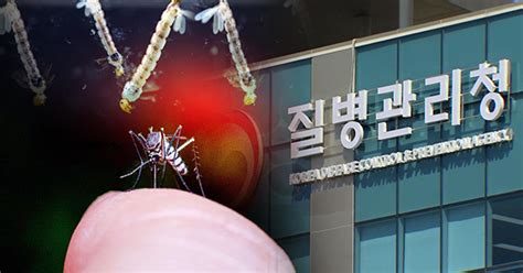 해외방문 감염병환자 10배로‥모기 매개 감염병 확산