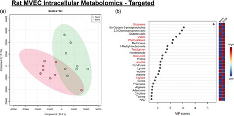 A Partial Least Squares‐discriminant Analysis Scores Plot Showing
