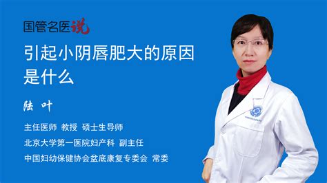 引起小阴唇肥大的原因是什么阴唇肥大是什么原因导致的阴唇肥大是怎么回事北京大学第一医院妇产科主任医师陆叶视频科普 中国医药信息查询平台