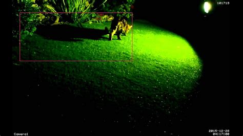 Raspberry Pi Motioneye Motion Sensing Security Camera Emails Photos Of Detected Movement