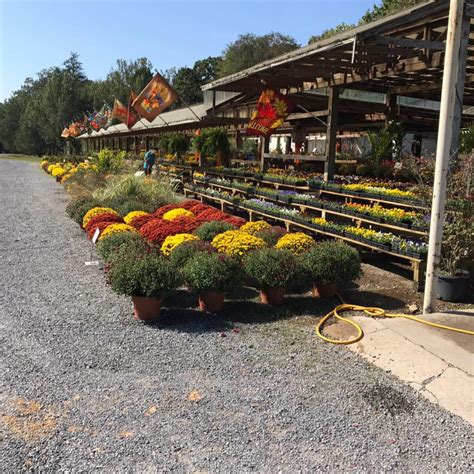 Glass Farm Nursery Rising Fawn Ga