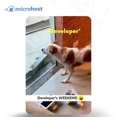 Savan Kumar On Linkedin Developers Weekend Be Like 😂