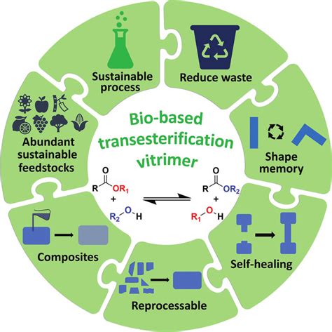 Schematic Illustration Of Dynamic Transesterification Bond In Biobased Download Scientific