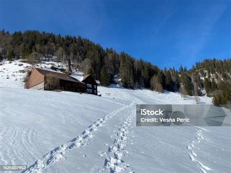 알프슈타인 산맥의 경사면과 스위스 알프스의 신선한 고산 눈 덮개에있는 멋진 겨울 하이킹 트레일과 흔적 Alt St Johann 스위스 0명에 대한 스톡 사진 및 기타 이미지