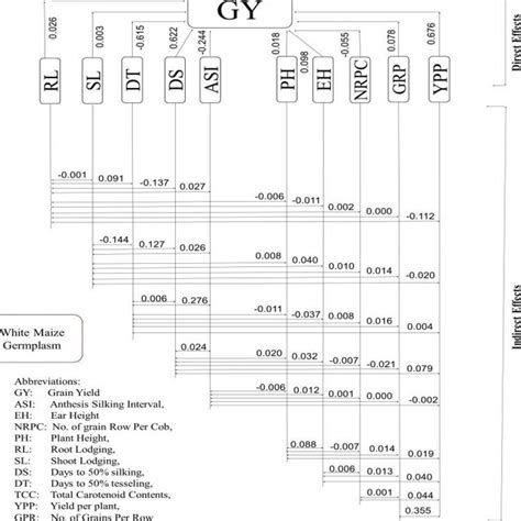 Path Diagram Showing Direct And Indirect Effects Of Different Yield