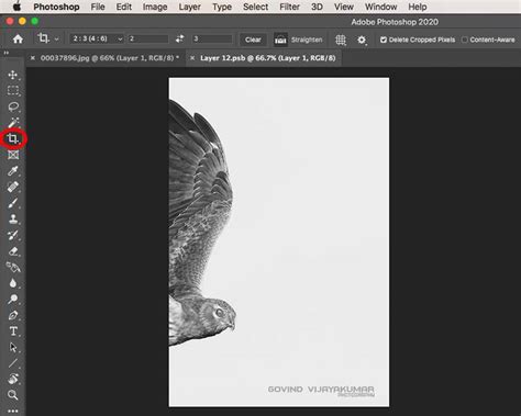 How To Crop A Layer In Photoshop Best Methods PhotographyAxis