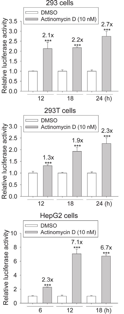 Induction Of The Transcriptional Activity Of P53 Response Element