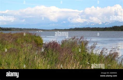 Float Grass Stock Videos And Footage Hd And 4k Video Clips Alamy