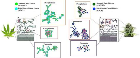 Justin Jj Van Der Hooft On Linkedin Computational Metabolomics Compmetabolomics Gnps Ms2lda