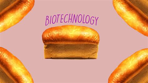 Yum Yum Bread Biotechnology Youtube