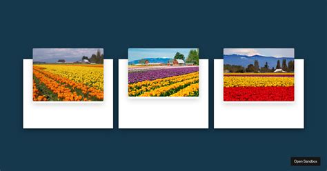 Responsive Card Hover Effects Codesandbox