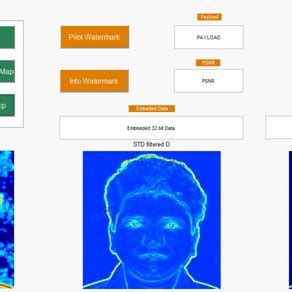 Complexity Map Image Download Scientific Diagram