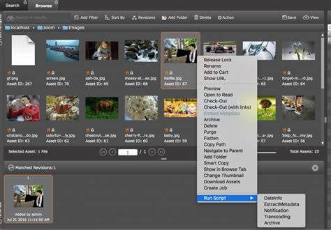 Executing Scripts From Asset Browser Evolphin Documentation