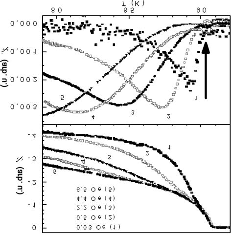 Temperature Dependences Of Ac Susceptibility Download Scientific Diagram