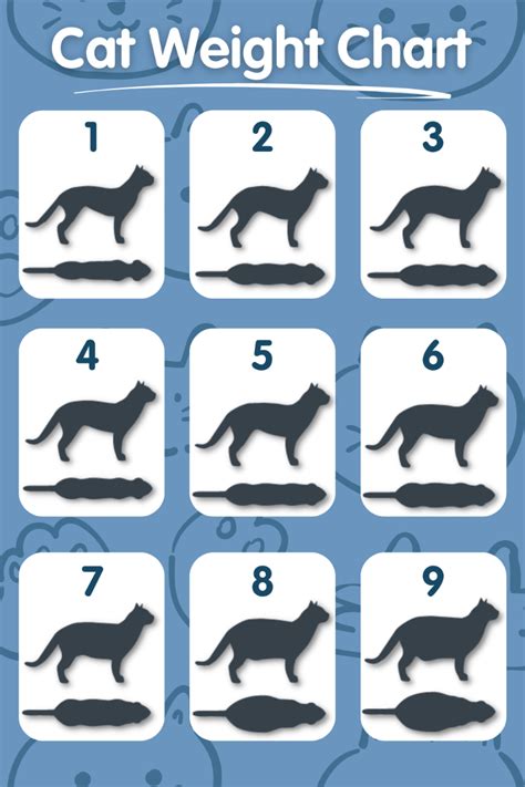 Normal Cat Weight Chart Hot Sex Picture