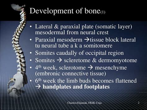 Bone Growth And Development Biology For Majors Ii