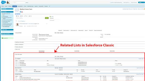 Related Lists In Salesforce How To Set Them Up And Pro Tips