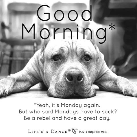 Happy Mondays Memes