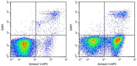 Cell Staining Buffer Akes003 Assay Genie