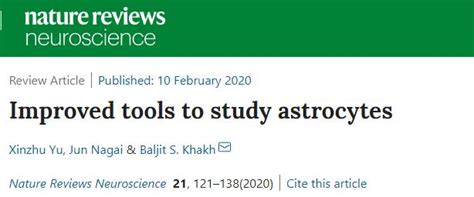 Nature Reviews Neurosci：星形胶质细胞研究手段的最全总结！
