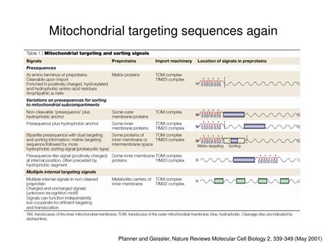 Ppt The Pathways Of Protein Targeting Powerpoint Presentation Free Download Id 3362106