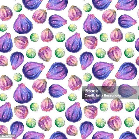 흰색 배경에 수채화 무화과의 원활한 패턴 손으로 그린 밝은 배경 질감 베리의 이미지 스케치 스타일의 과일 초대장 스크랩북 식품 디자인용 0명에 대한 스톡 벡터 아트 및 기타