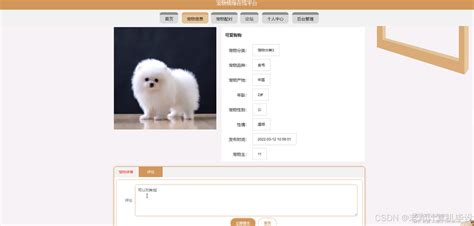 Springboot宠物情缘在线平台ic5ba（程序源码数据库调试部署开发环境）系统界面在最后面。 Csdn博客
