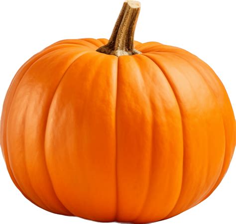 Pumpkin Pngs For Free Download