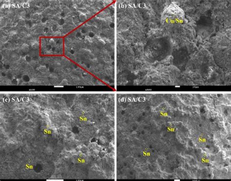Sem Morphologies Of Mixed Powders Sn Al2o3 Deposited On Cu Based Substrate Download
