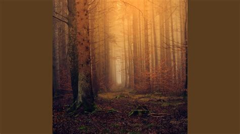 얕은 연못을 찰박찰박 건너는 발소리 Youtube