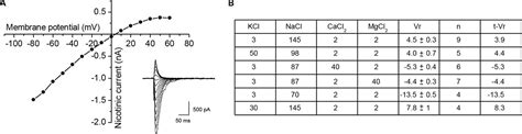 Figures And Data In A Novel Synaptic Plasticity Rule Explains Homeostasis Of Neuromuscular