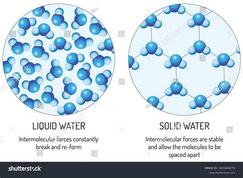 Molecular Structure Liquid Water Vs Solid Stock Vector Royalty Free Shutterstock