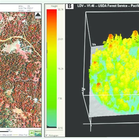 Main Display Of The Web Lidar Forest Inventory Application 3d Download Scientific Diagram