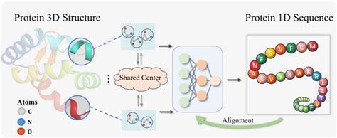 [论文审查] Diffusion Model With Representation Alignment For Protein Inverse Folding