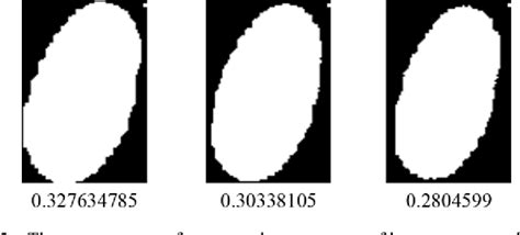 Figure 5 From The Classification Of Hep 2 Cell Patterns Using Fractal Descriptor Semantic Scholar