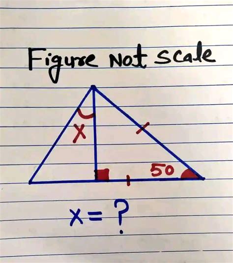 figure not scale filo