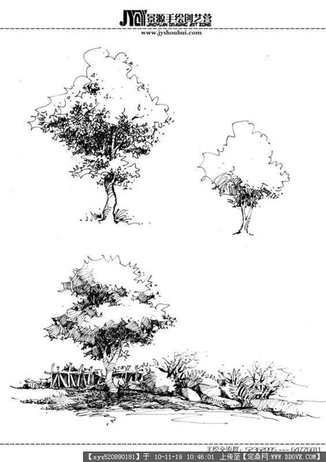 Trees Sketch Landscapesketch Landscape Sketch Plant Sketches Tree Sketches