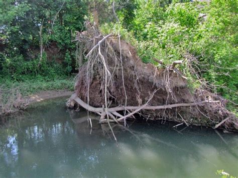 Continuing Authorities Program