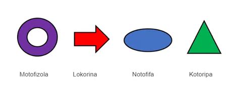 Free Dlab Practice Test And Video Explanations