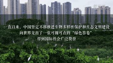 新华全媒 万物之生 四川在线