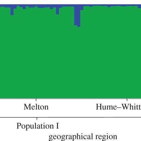 Structure Bar Plot K 2 With Individuals Organized By Geographical Download Scientific Diagram