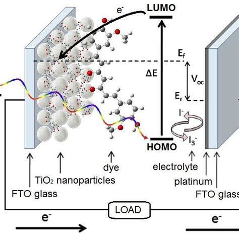 Schematic Structure And Principle Of Operation Of Dssc Download