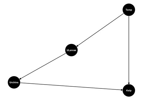 Introduction To Structural Causal Modelling