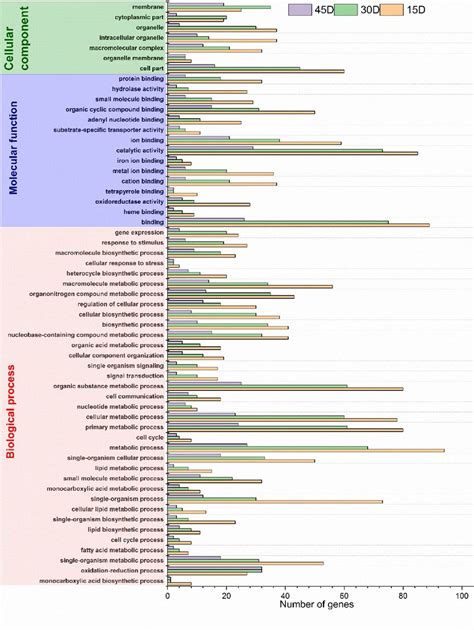 Gene Ontology Go Classification Of A Differentially Expressed Genes