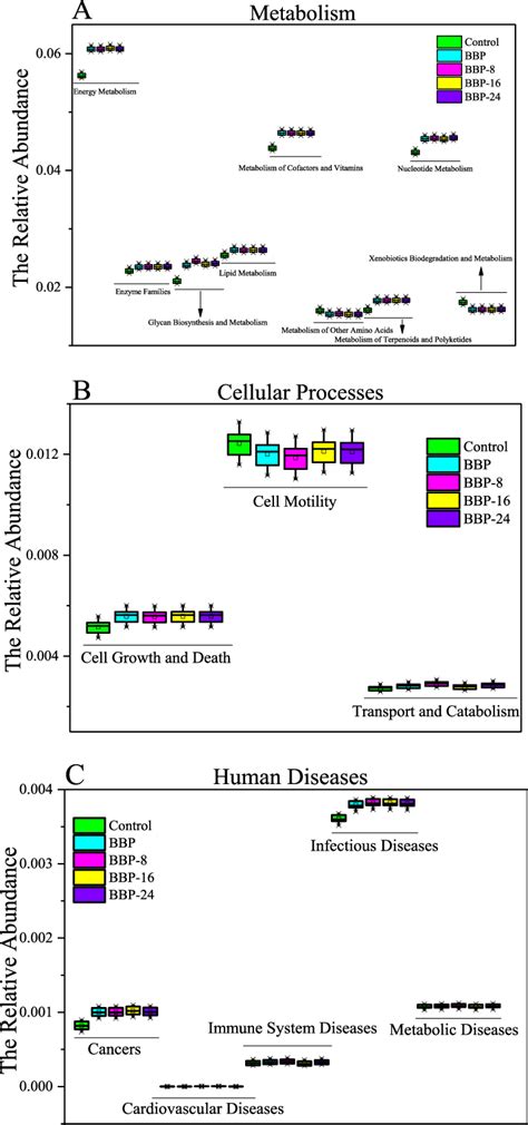 Inferred Gut Microbiome Functions By Picrust From 16s Rrna Gene